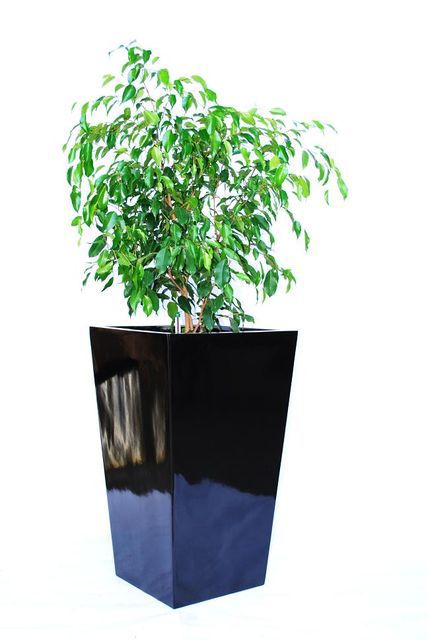 Free Standing Floor Pots & Planters | Freestanding Pots